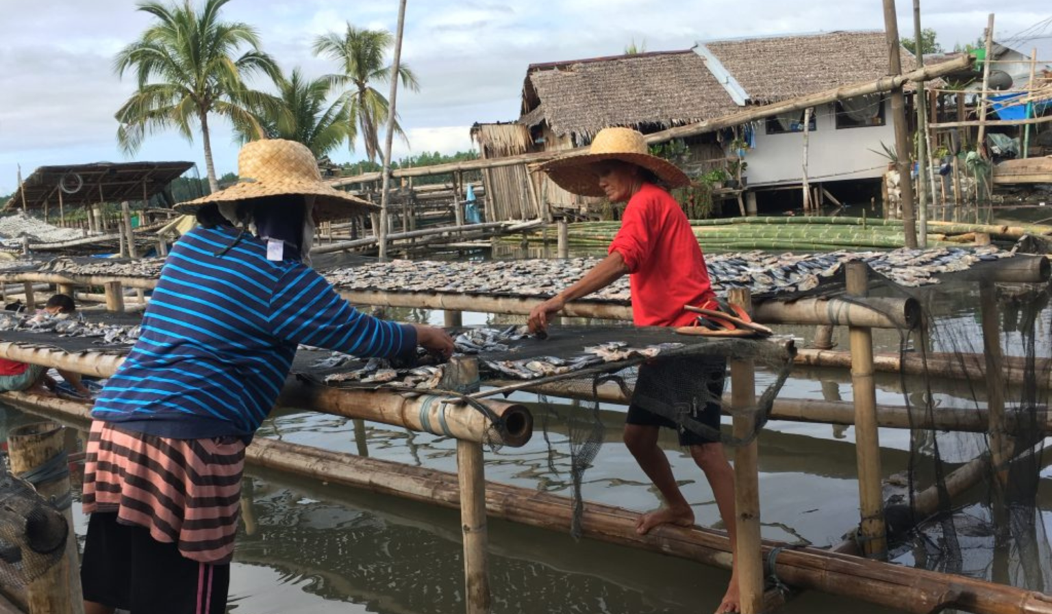 Understanding the aquaculture value chain in Kabasalan