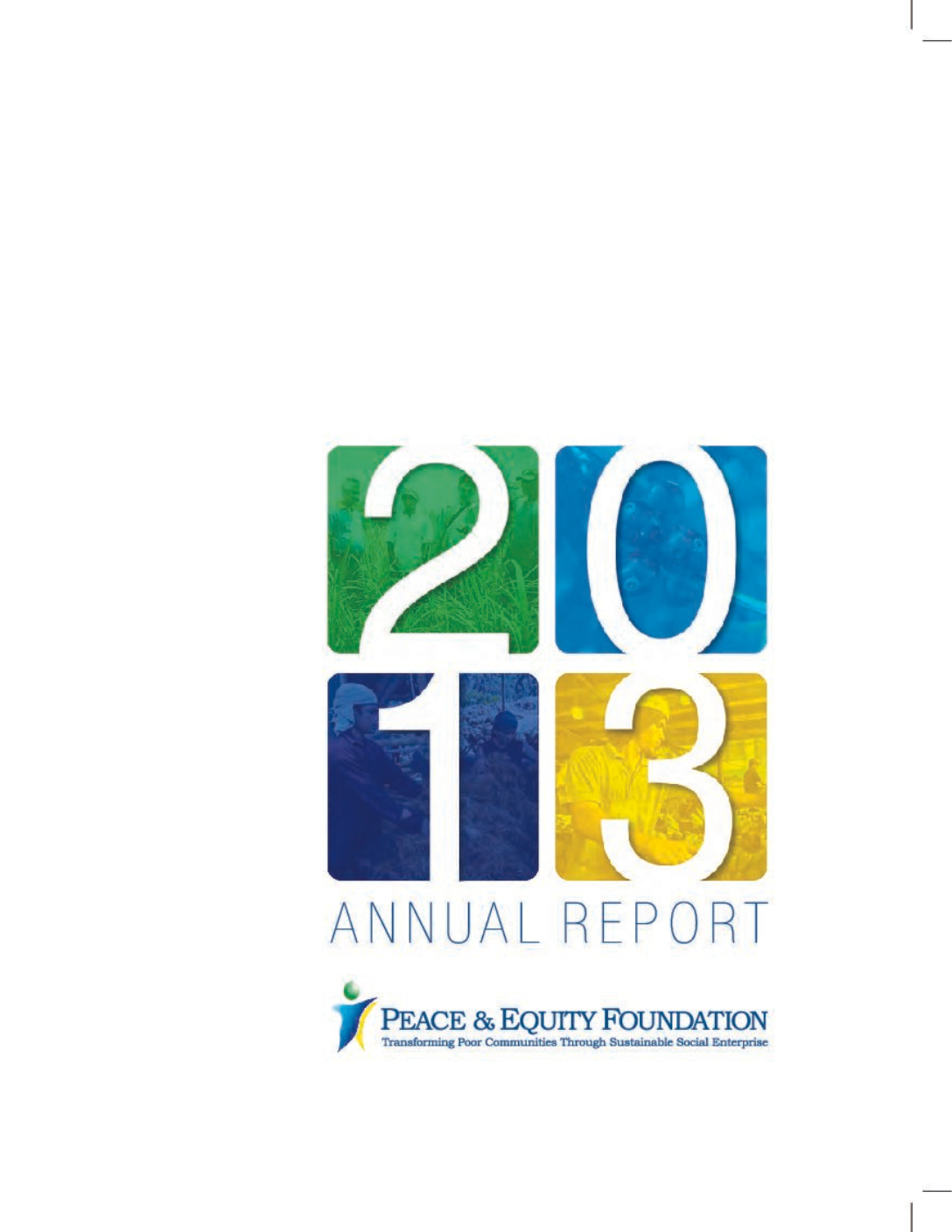 Annual Report 2013